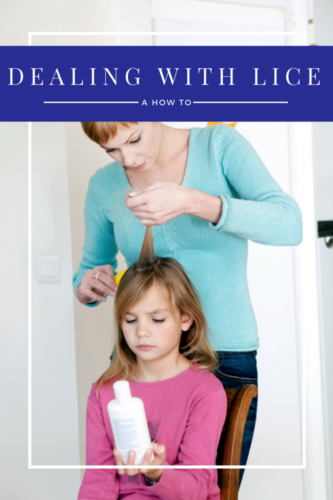 dealing with lice (1) – Northshore Parent