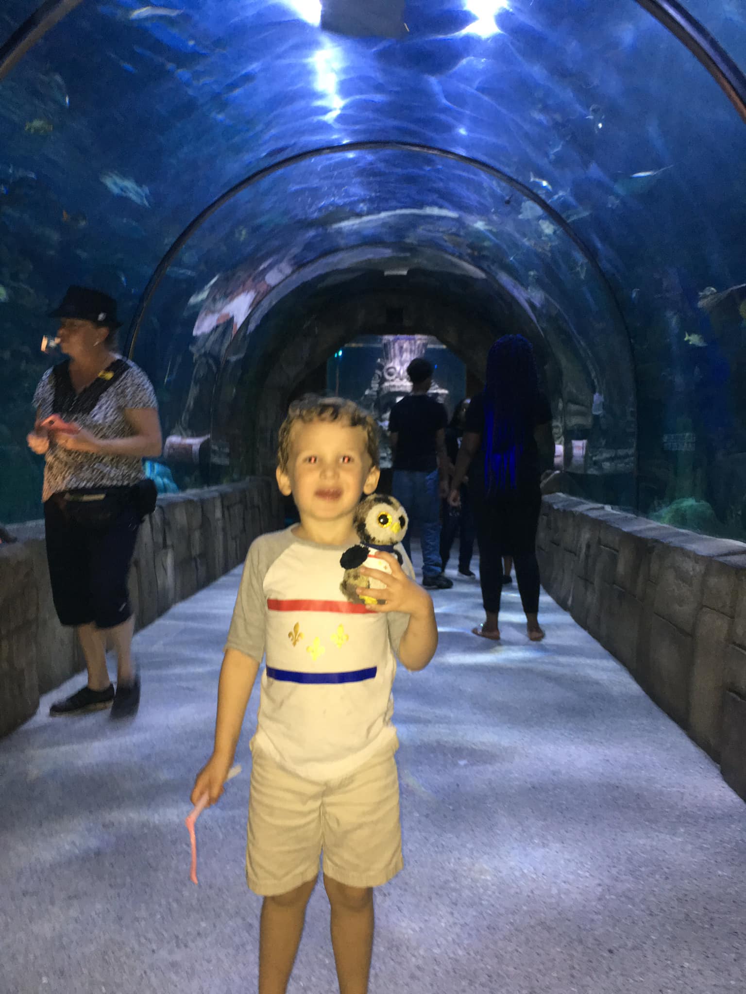 Local Mom Recreates Good Night NOLA – Northshore Parent
